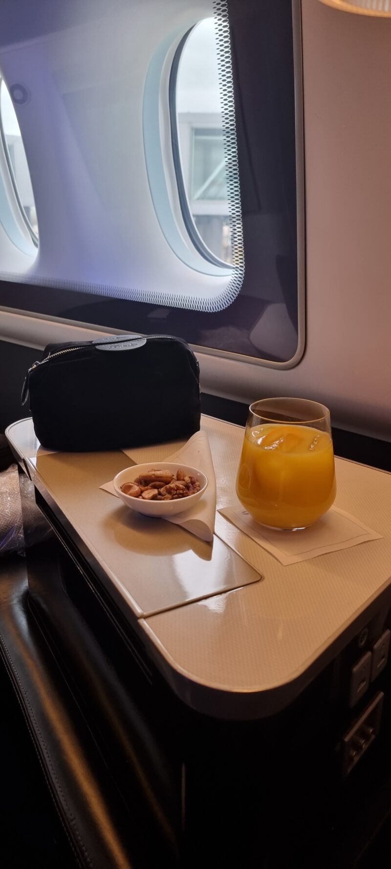 Review: My First, First-Class Flight Ever! - Wingtips