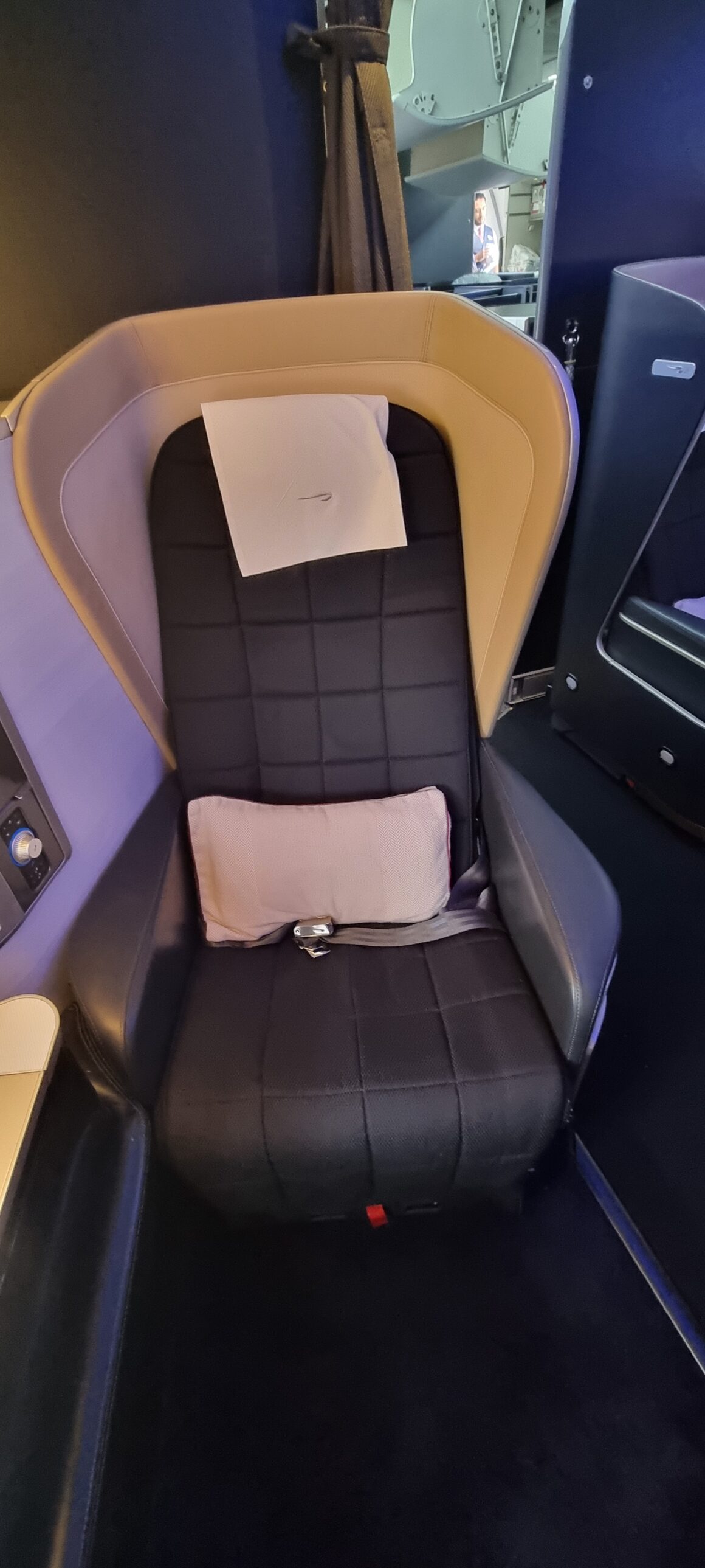 Review: My First, First-Class Flight Ever! - Wingtips